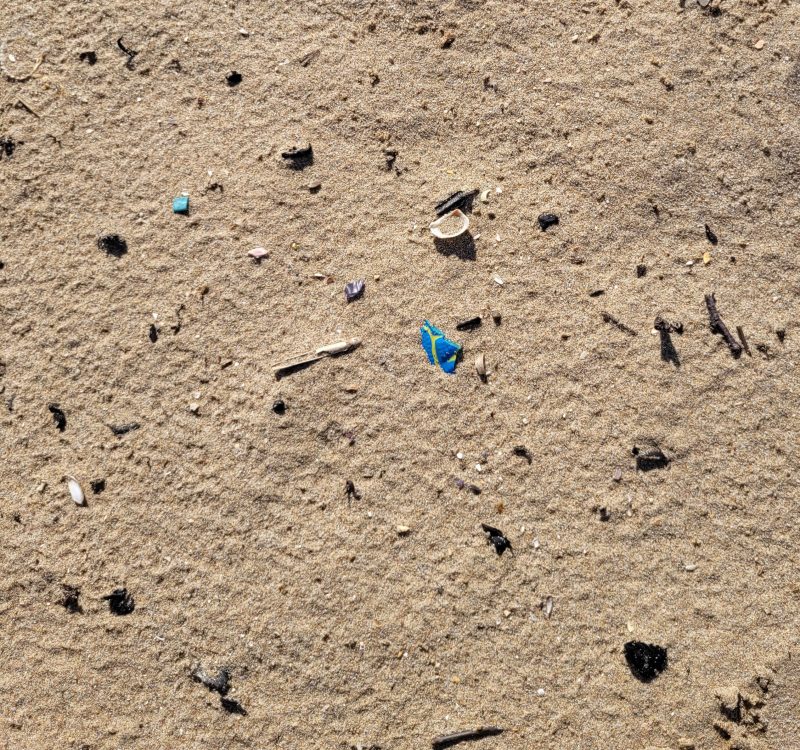 Microplastics. The what, why, and how. – life's a beach uk